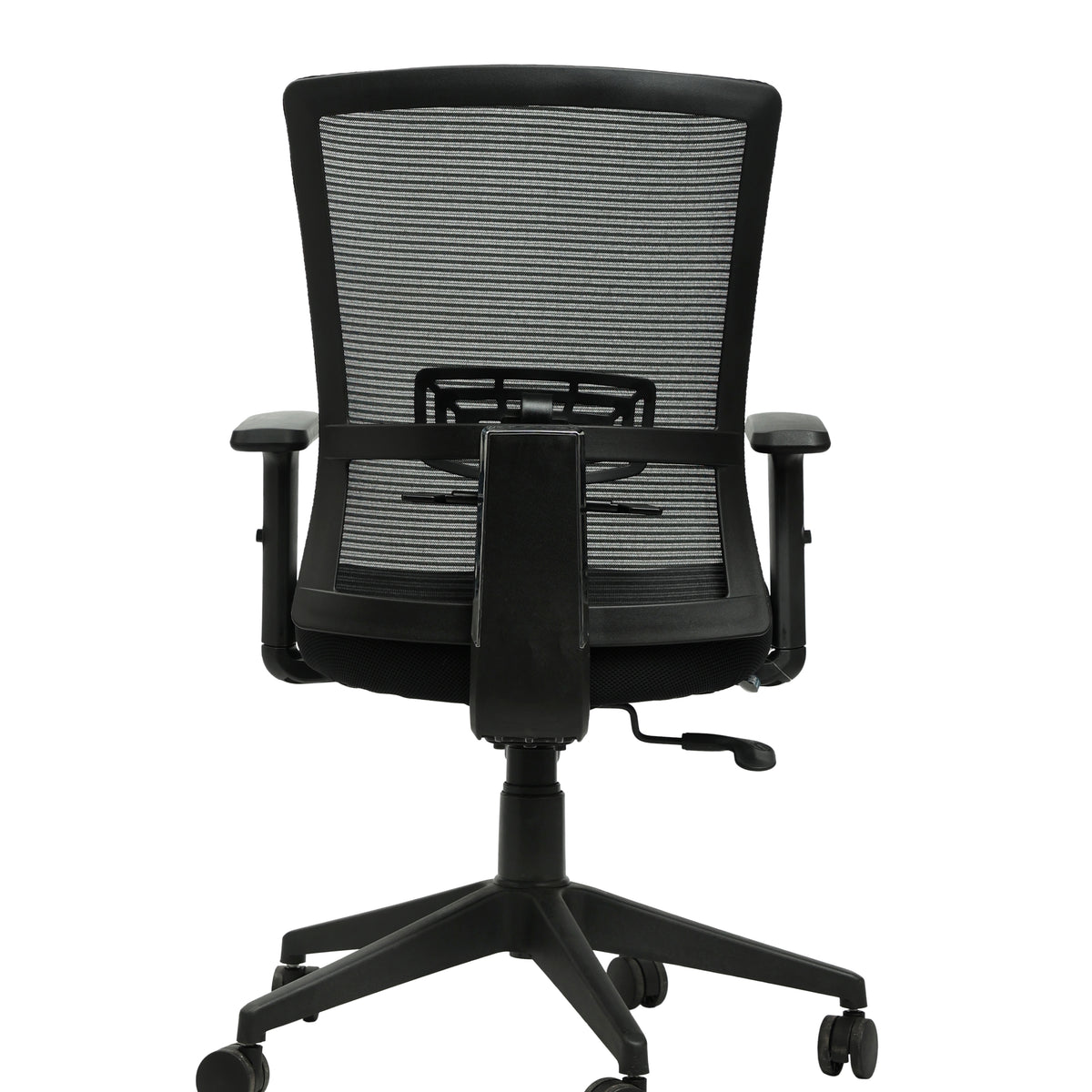 DYNAMIC – Xylus Chairs