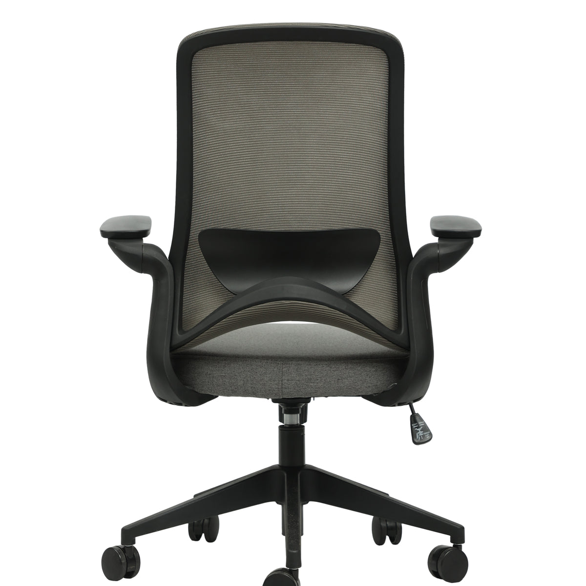 DOLFIN – Xylus Chairs