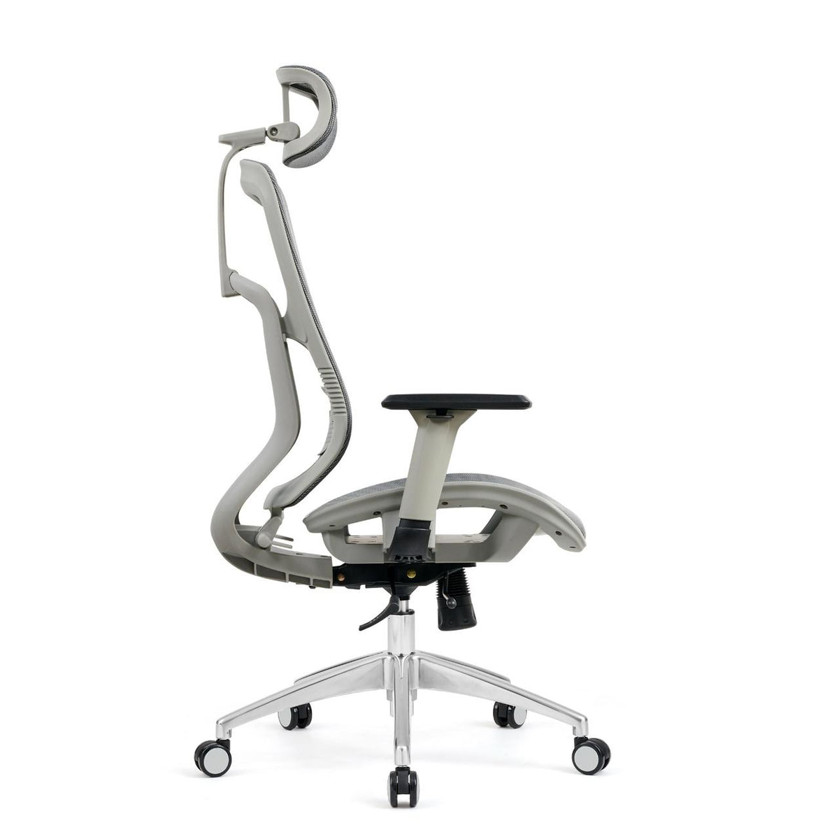 POLO HB – Ergonomic High Back Office Chair with Lumbar Support – Xylus ...