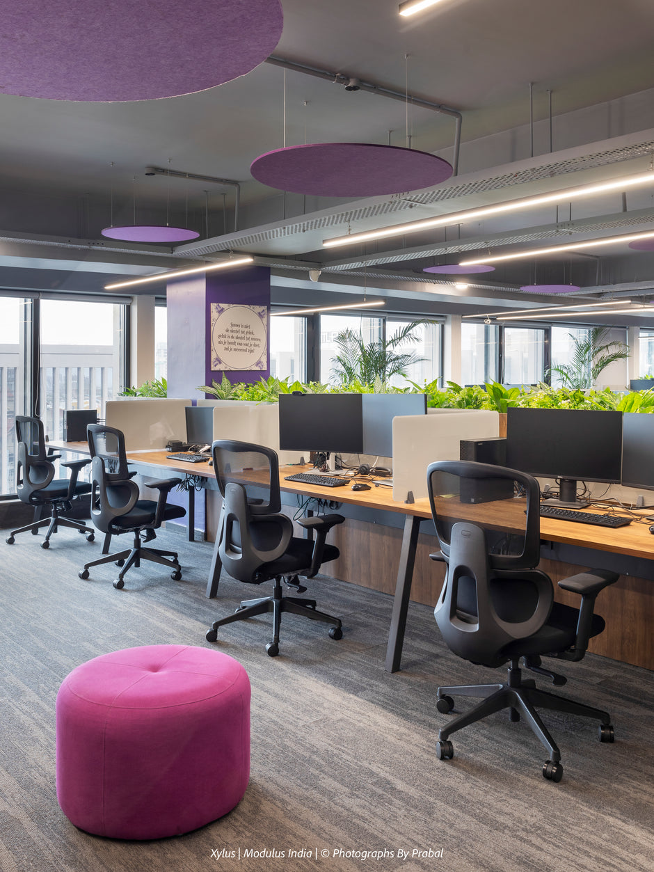 Xylus Chair – Xylus Chairs